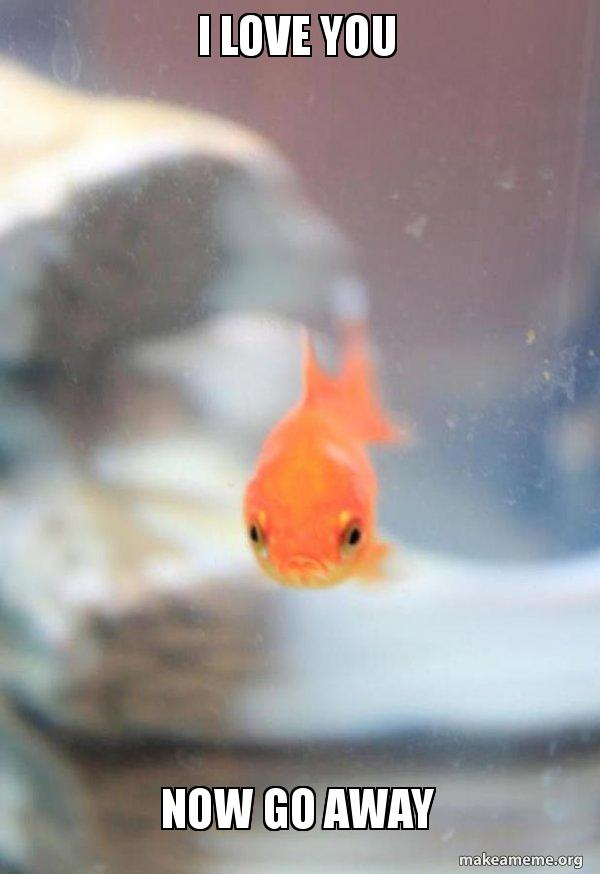 I love you now go away - Grumpy Fish Meme Generator