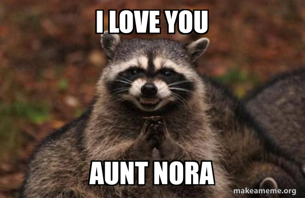 I love you Aunt Nora - Evil Plotting Raccoon Meme Generator