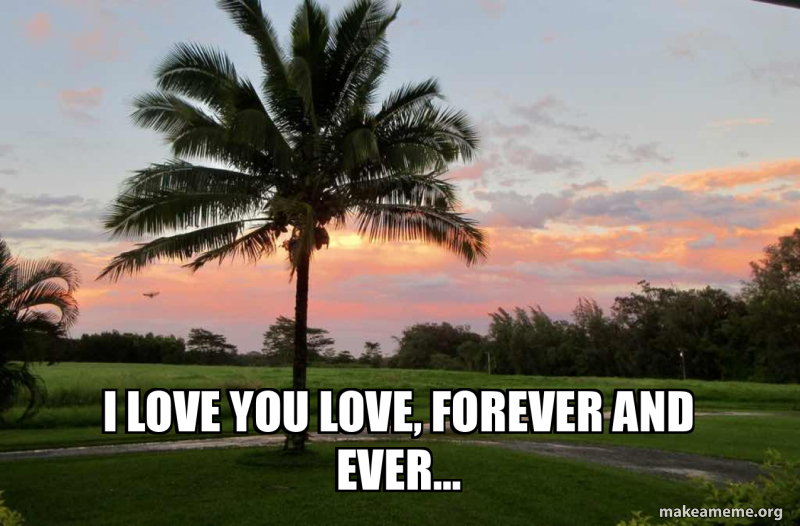 I love you love, forever and ever... Meme Generator