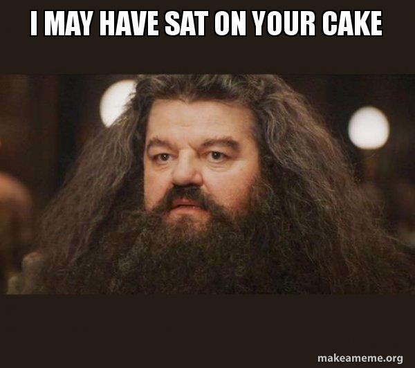 I may have sat on your cake - Hagrid - I should not have said that Meme ...