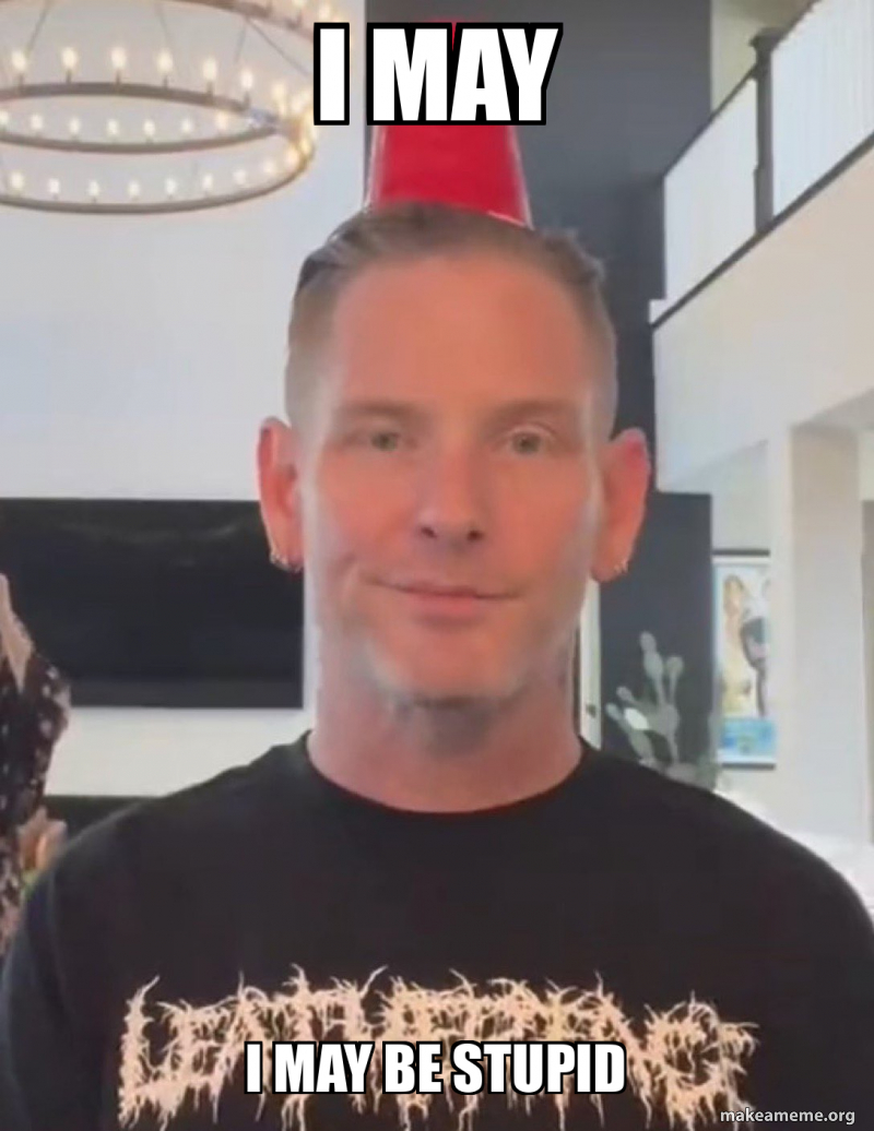 i may i may be stupid Meme Generator