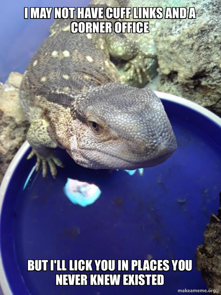 i may not have cuff links and a corner office but i'll lick you in ...