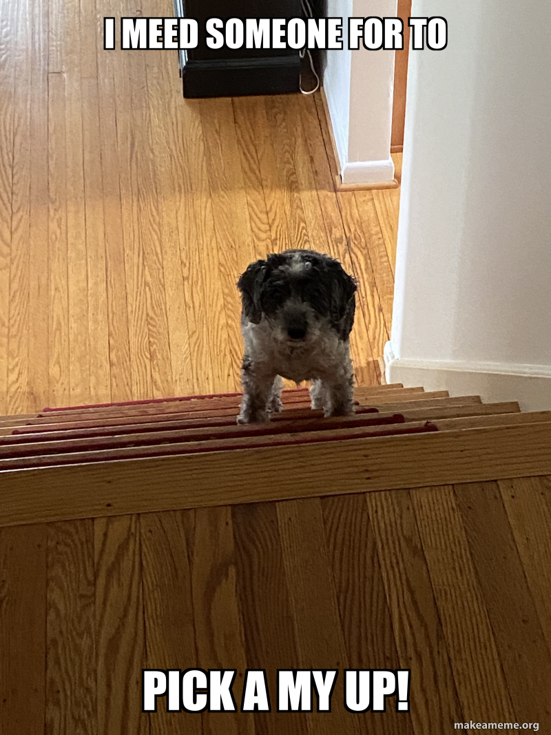 I meed someone for to Pick a my up! Meme Generator