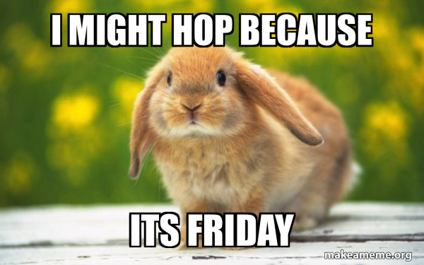 I might hop because Its friday - Regretful Rabbit Meme Generator
