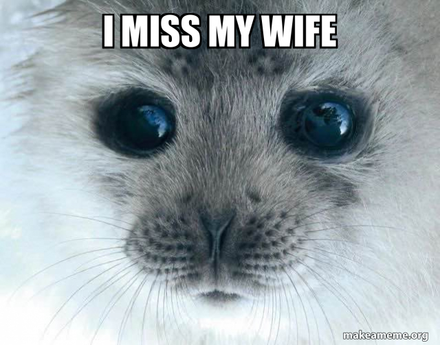 I Miss My wife Meme Generator