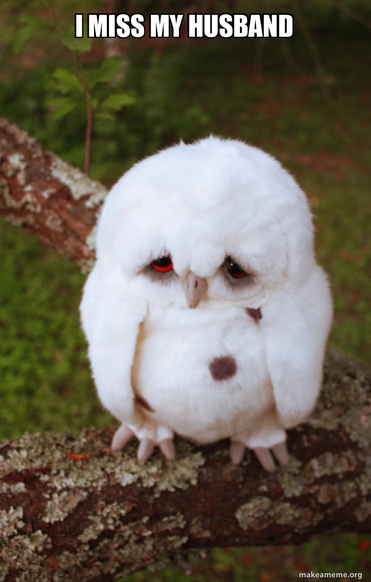 I miss my husband - Sad Owl Meme Generator