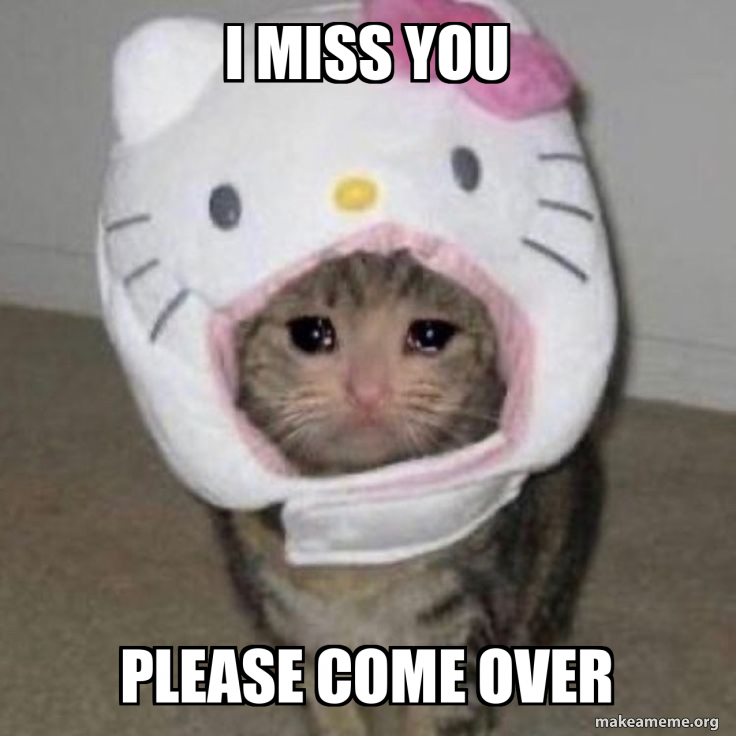 i miss you please come over Meme Generator