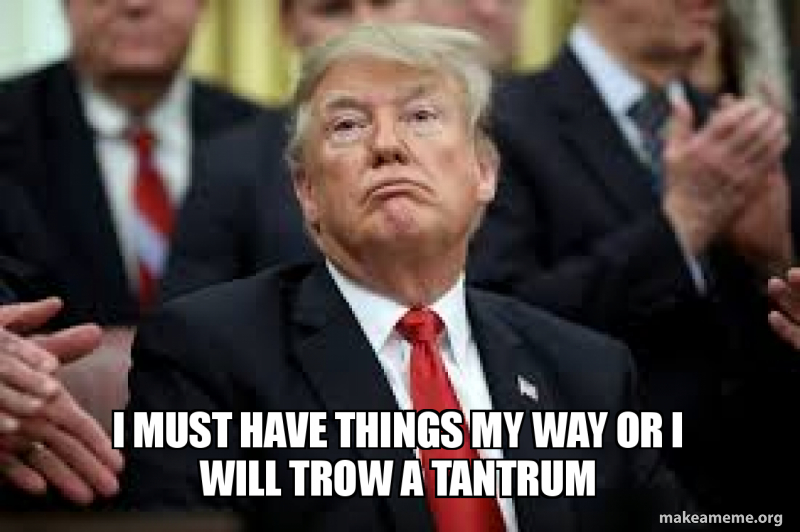 I must have things my way or I will trow a tantrum Meme Generator