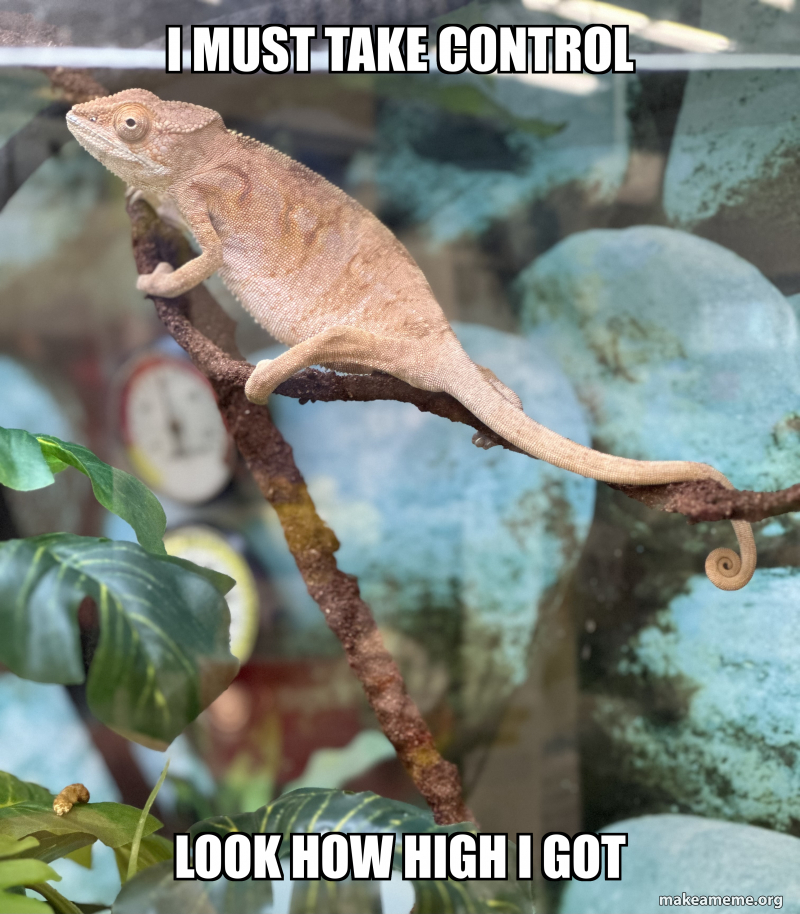 I must take control Look how high i got Meme Generator