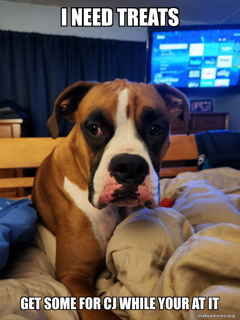 I need treats Get some for cj while your at it Meme Generator