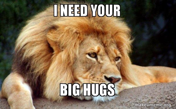 Lion Hug Memes Weird Lion King Memes | TikTok