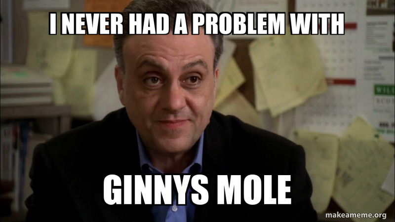 I never had a problem with GINNYS MOLE Meme Generator
