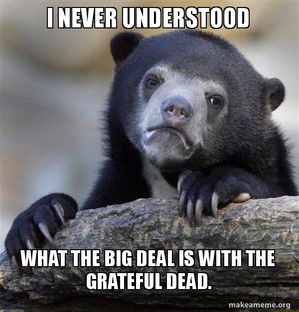 I never understood What the big deal is with The Grateful Dead ...
