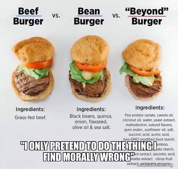 "I only pretend to do the thing I find morally wrong" Meme Generator