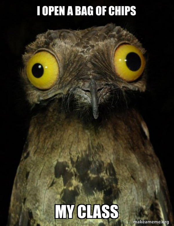 I open a bag of chips My class - Weird Stuff I do Potoo Meme Generator