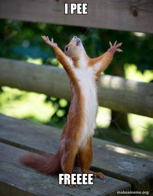 i pee FREEEE - Happy Squirrel Meme Generator