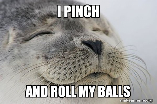 I pinch And roll my balls - Satisfied Seal Meme Generator