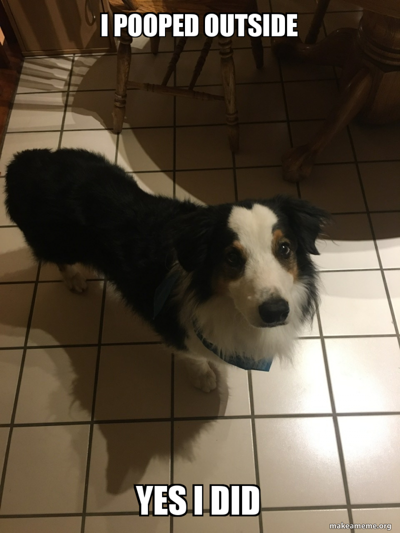 I Pooped Outside Yes i did Meme Generator