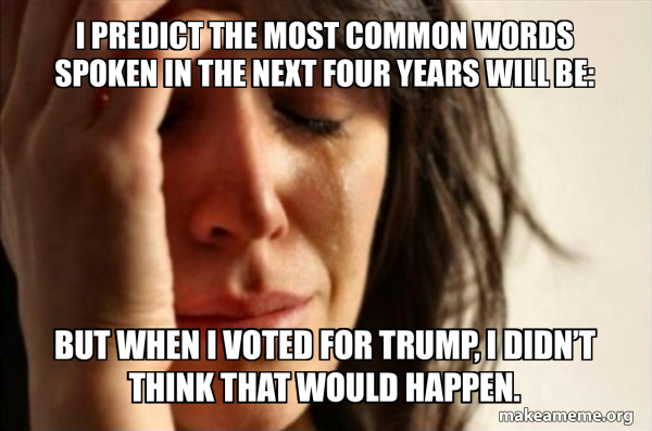 I predict the most common words spoken in the next four years will be ...