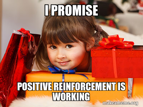 I promise positive reinforcement is working Meme Generator