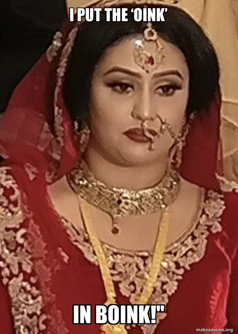 I put the ‘oink’ in boink!" Meme Generator