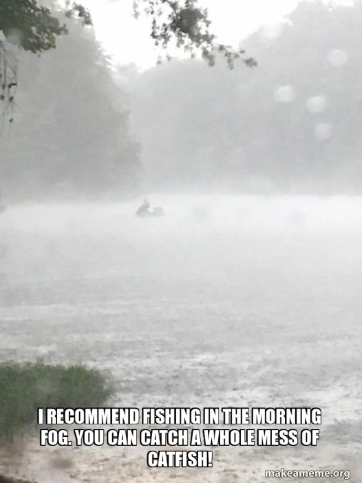 i recommend fishing in the morning fog. you can catch a whole mess of ...