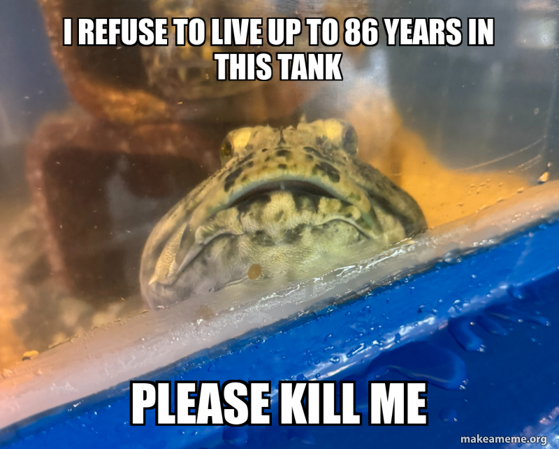 I refuse to live up to 86 years in this tank Please kill me Meme Generator