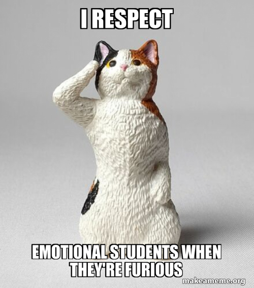 i respect emotional students when they're furious Meme Generator