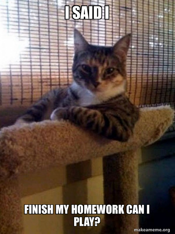 I said I Finish my homework can I play? - The Most Interesting Cat in ...