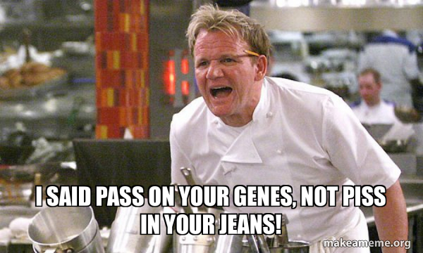 I said Pass on your genes, not piss in your jeans! - Gordon Ramsay Hell's Kitchen Meme Generator