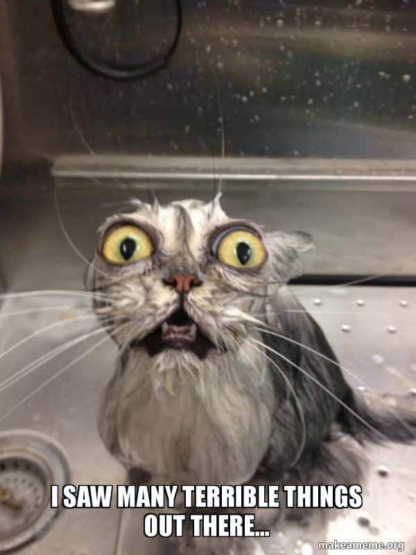 I saw many terrible things out there... - Cat bath Meme Generator