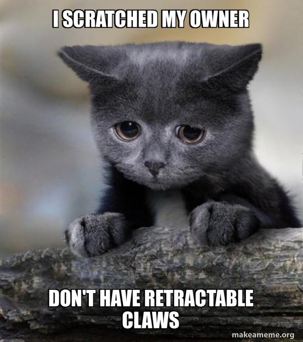 i scratched my owner don't have retractable claws - Confession Cat Meme ...