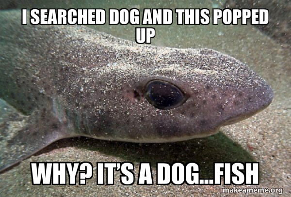 I searched dog and this popped up Why? Itâ€™s a dogâ€¦FISH - Dirty Joke ...