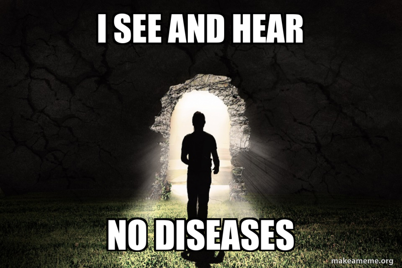 I see and hear no diseases Meme Generator