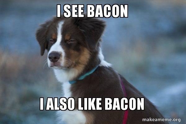 i see bacon i also like bacon - Unsure Dog Meme Generator