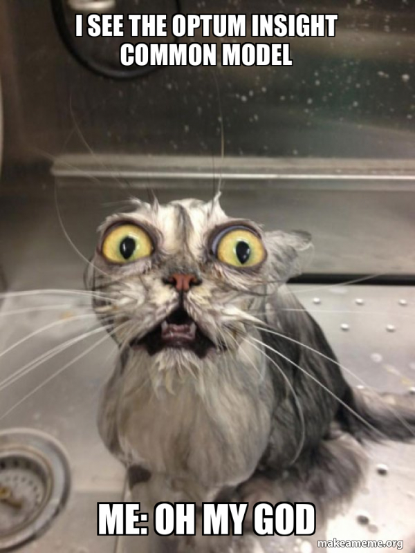 I SEE THE OPTUM INSIGHT COMMON MODEL ME: OH MY GOD - Cat bath Meme ...