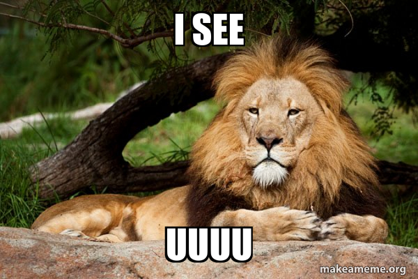 I see Uuuu - Contemplative Lion Meme Generator