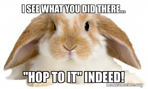 i see what you did there... "hop to it" indeed! Meme Generator