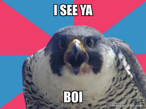 i see ya boi - Millennial Falcon Meme Generator