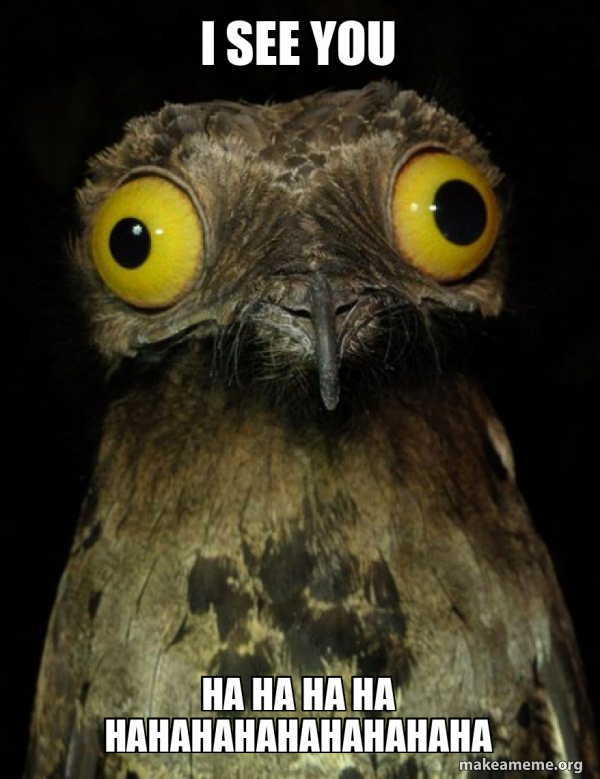 i see you Ha ha ha ha HAHAHAHAHAHAHAHAHA - Weird Stuff I do Potoo Meme ...