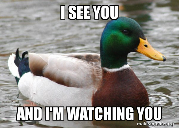 I see you and I'm watching you - Actual Advice Mallard Meme Generator
