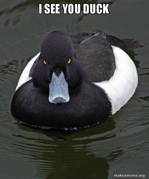 I SEE YOU DUCK - Revenge Duck ( Angry Advice Duck ) Meme Generator