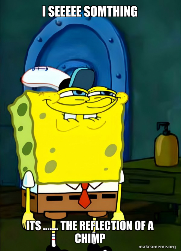 i seeeee somthing its ....... the reflection of a chimp - SpongeBob ...
