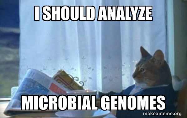 I should Analyze Microbial Genomes - Sophisticated Cat Meme Generator
