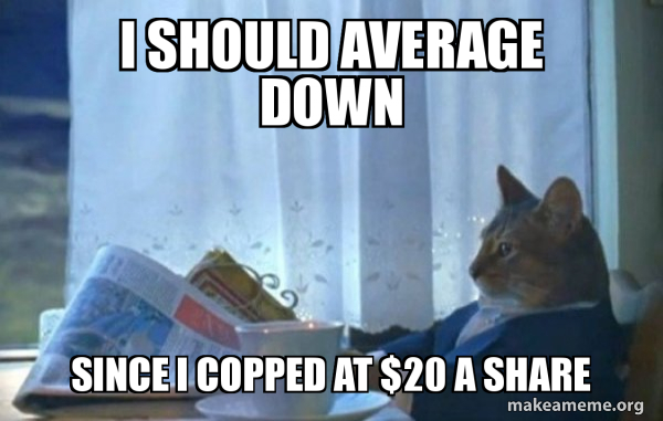 I SHOULD AVERAGE DOWN SINCE I COPPED AT $20 A SHARE - Sophisticated Cat ...