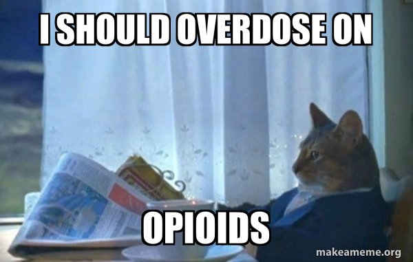 I should overdose on Opioids - Sophisticated Cat Meme Generator