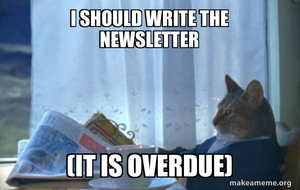 I should write the newsletter (it is overdue) - Sophisticated Cat Meme ...