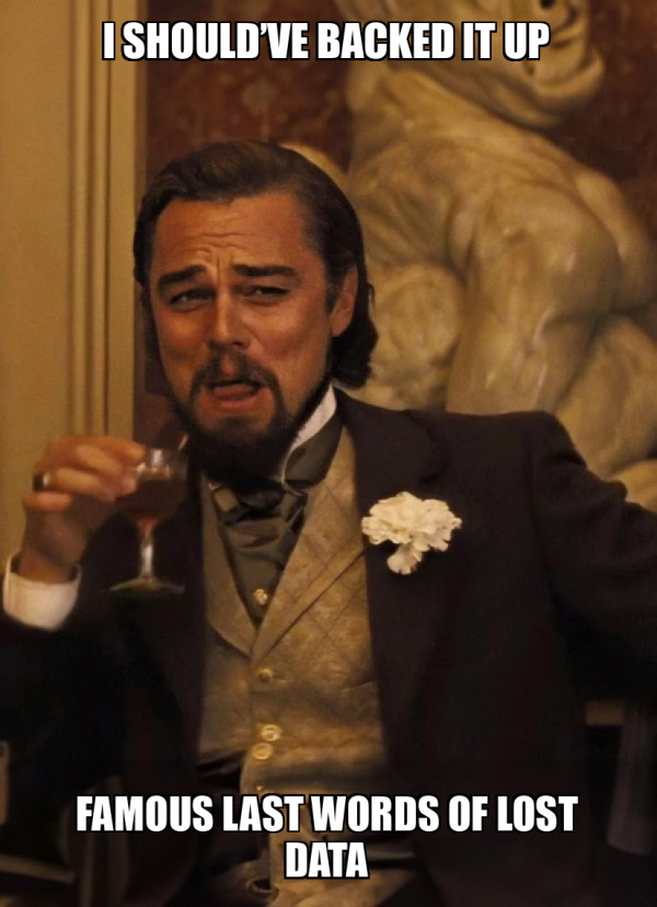 I should’ve backed it up Famous last words of lost data - Leonardo ...