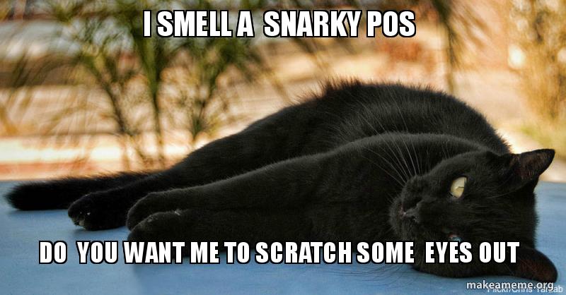 I smell a snarky pos DO YOU WANT ME TO SCRATCH SOME EYES OUT Meme Generator