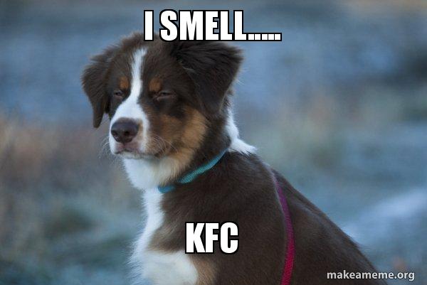 I smell..... KFC - Unsure Dog Meme Generator